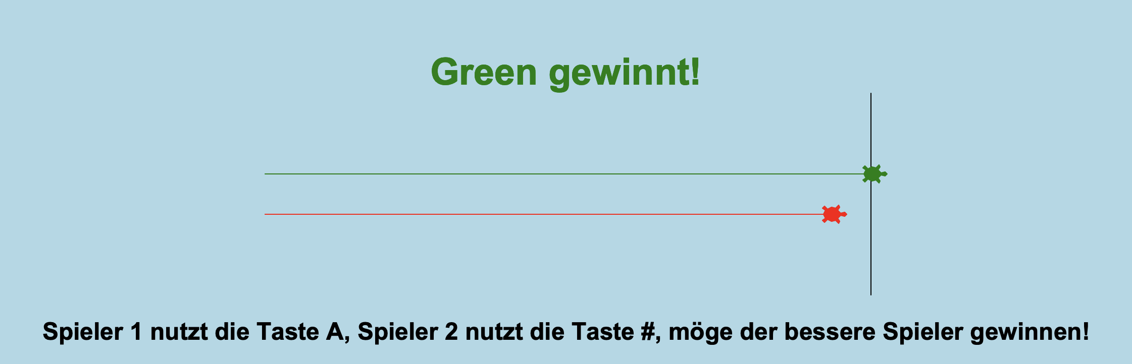 Turtle Race Foelling Net